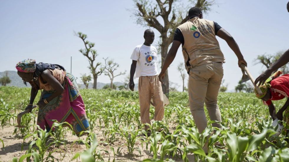 Les 5 piliers de la communication des ONG – SAMBA